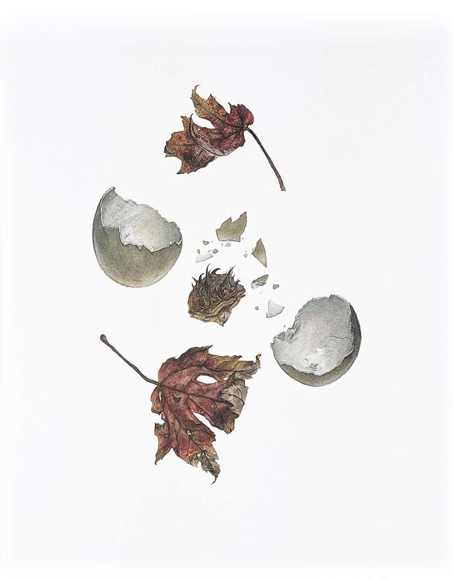 17. Spiral of stinging – Beatriz Alonso Carvajales